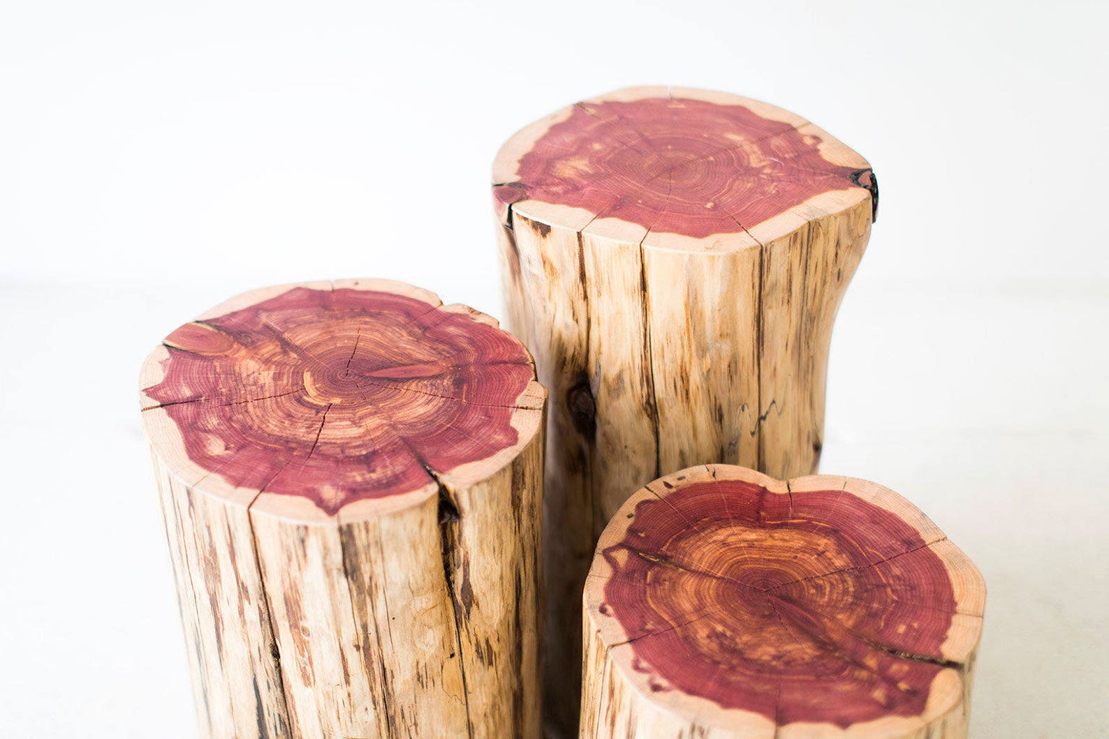 Natural Tree Stump Normal Size 11 to 12 Diameter - Etsy