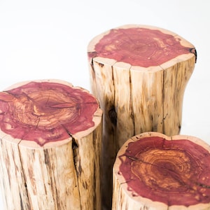 Natural Tree Stump Normal Size 11" to 12" Diameter - Etsy