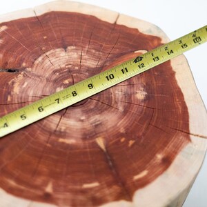 Large Outdoor Tree Stump Tables - Natural - Etsy