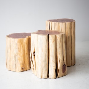 Quick Ship Stumps in Natural - Etsy
