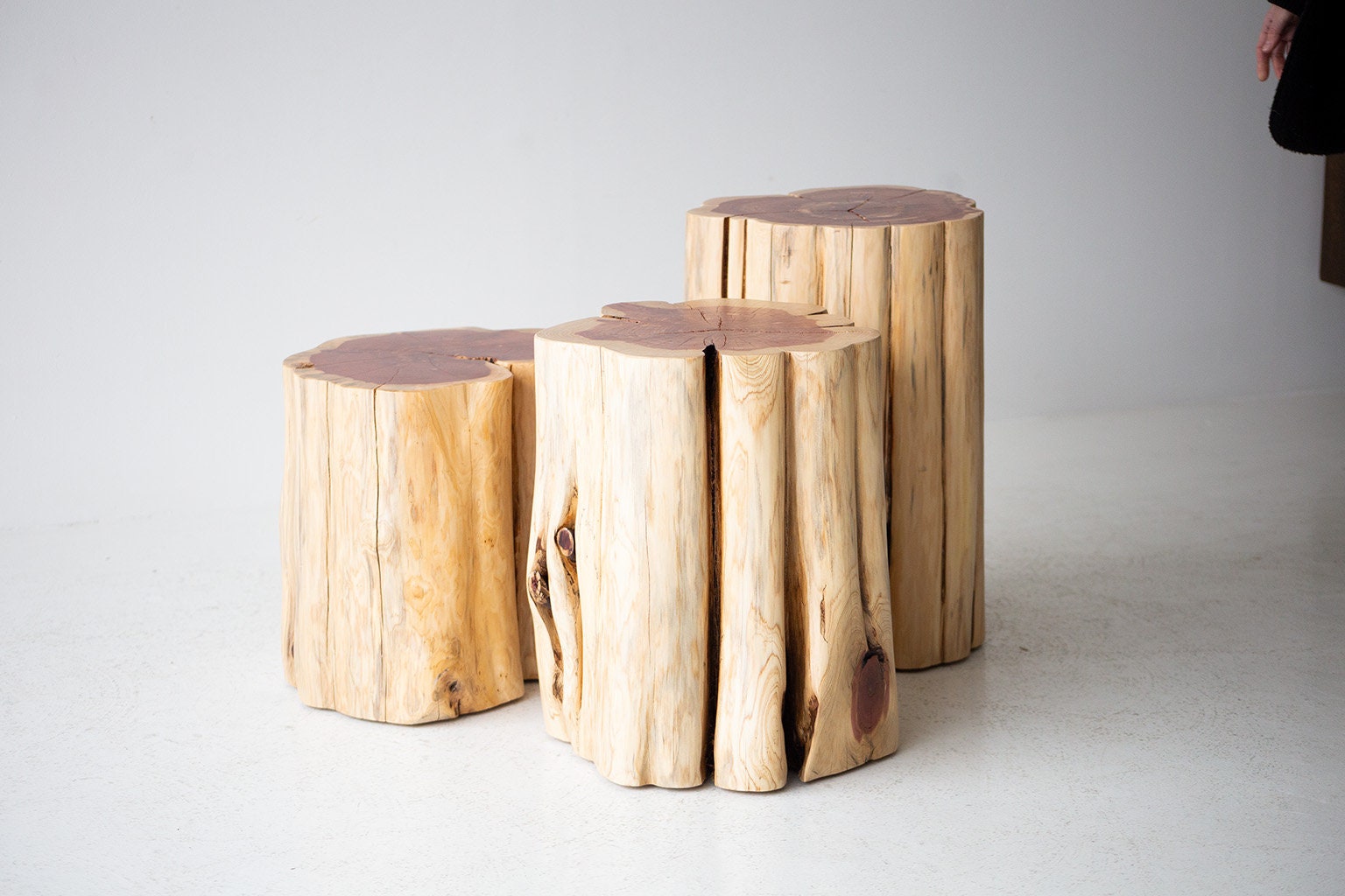 Quick Ship Stumps in Natural - Etsy