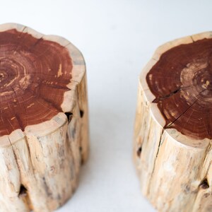 Large Outdoor Tree Stump Tables - Natural - Etsy