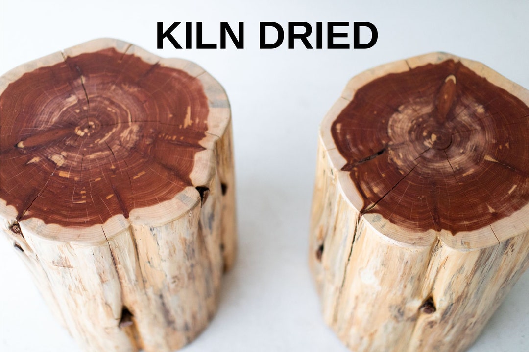 Large Tree Stump Table for a Bedside or Side Table - Etsy