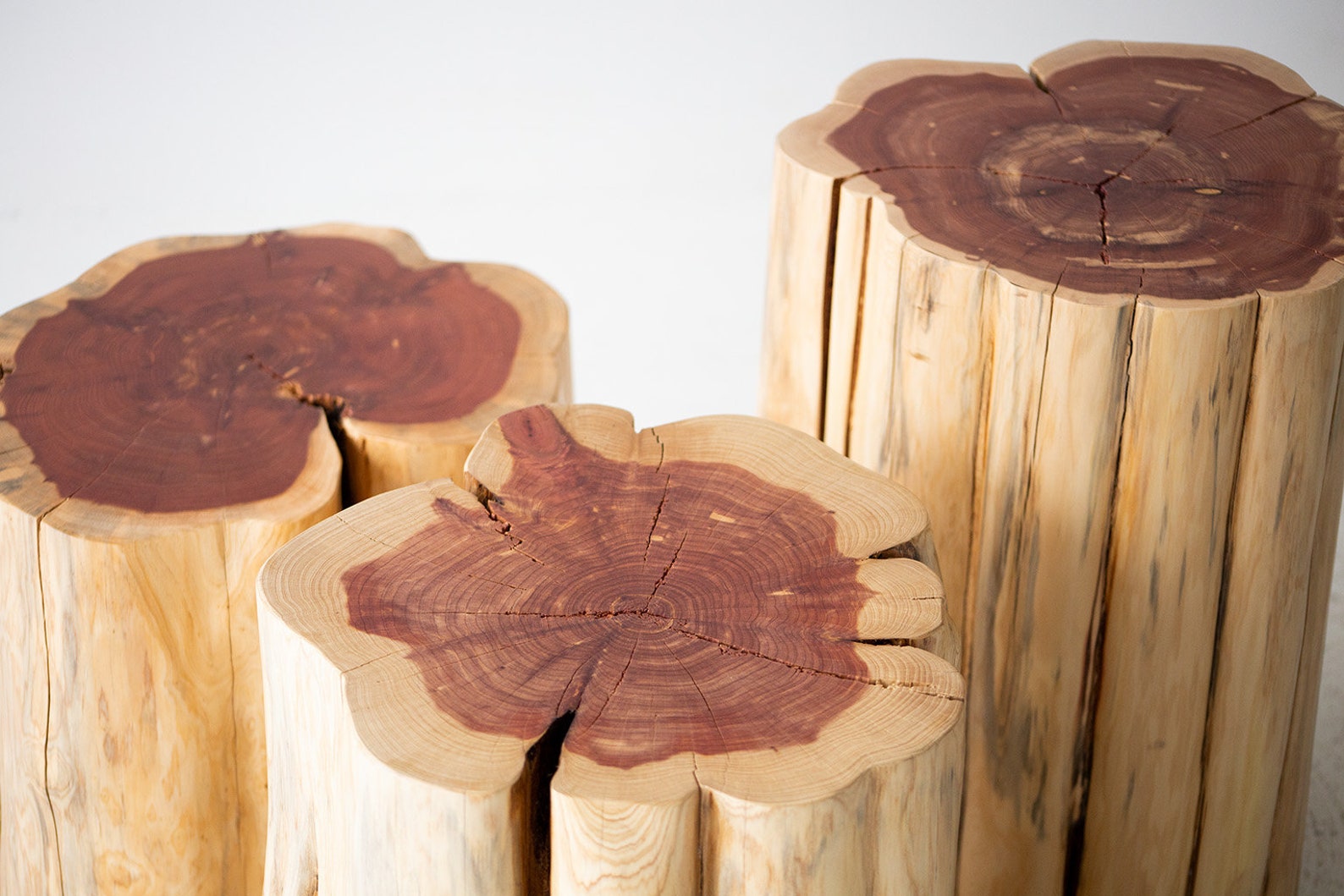 Quick Ship Stumps in Natural - Etsy