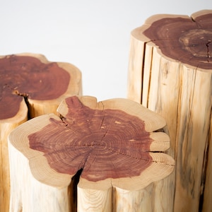 Quick Ship Stumps in Natural - Etsy