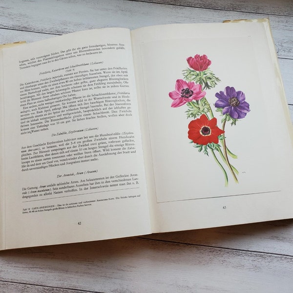 Botanical Book Plate - Etsy