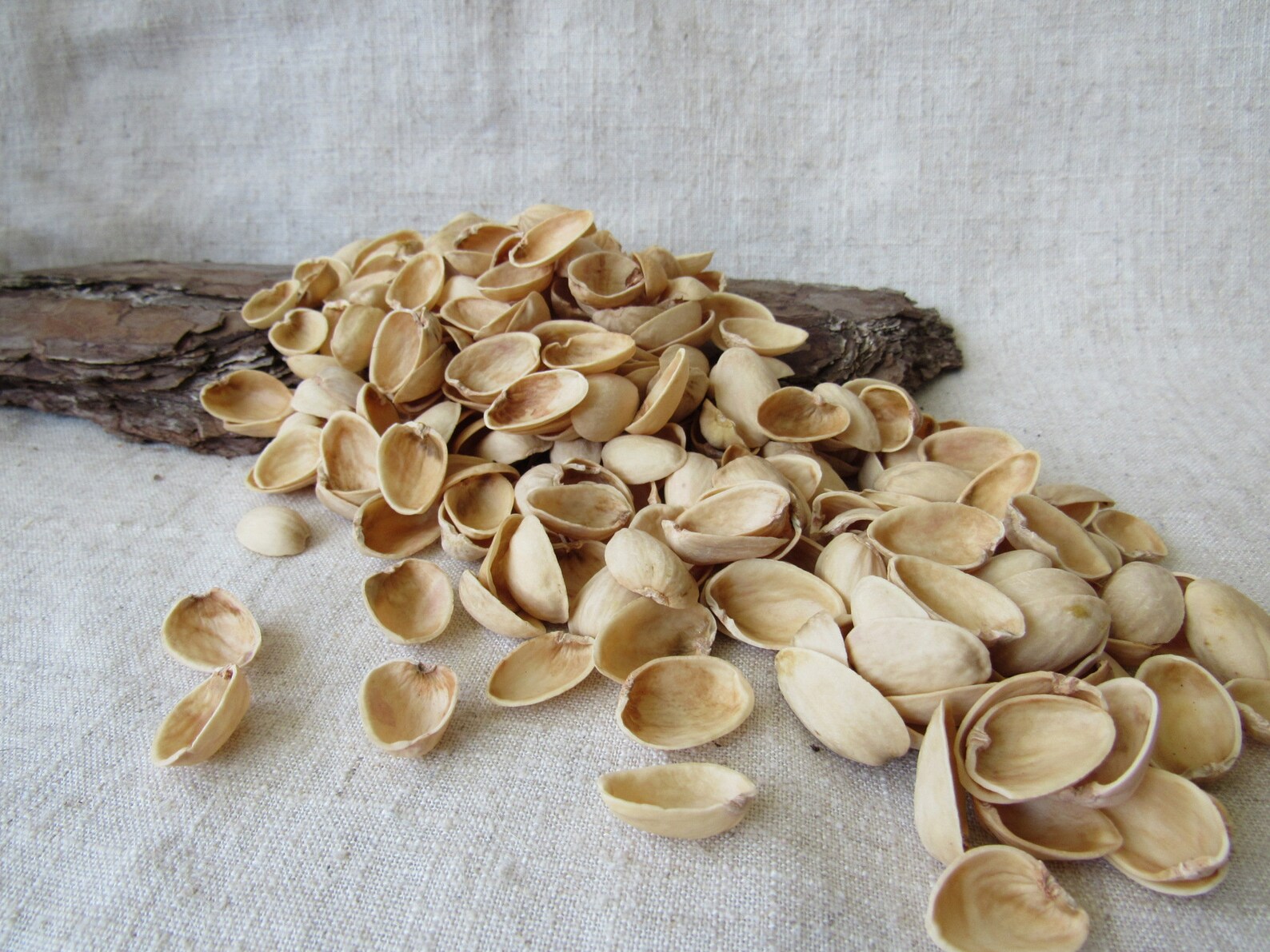 Empty Pistachio Shells, Nut Shells for Craft Projects, Organic ...