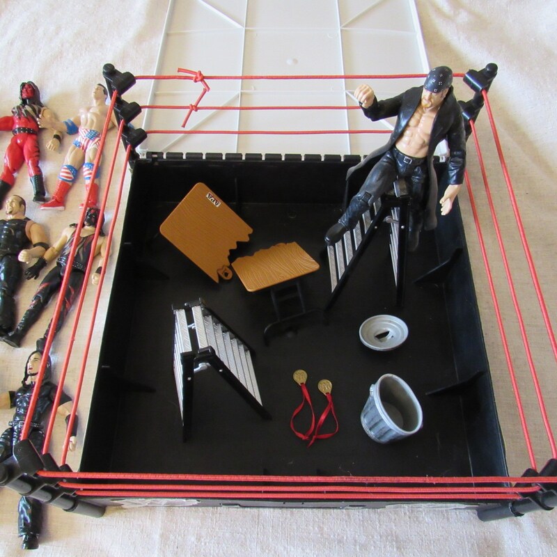 Wwe Custom Figures - Etsy