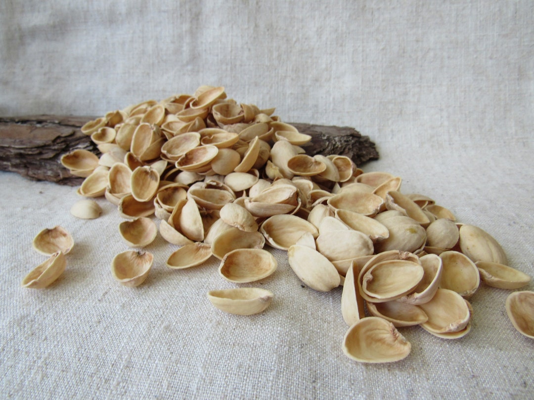 Empty Pistachio Shells, Nut Shells for Craft Projects, Organic ...