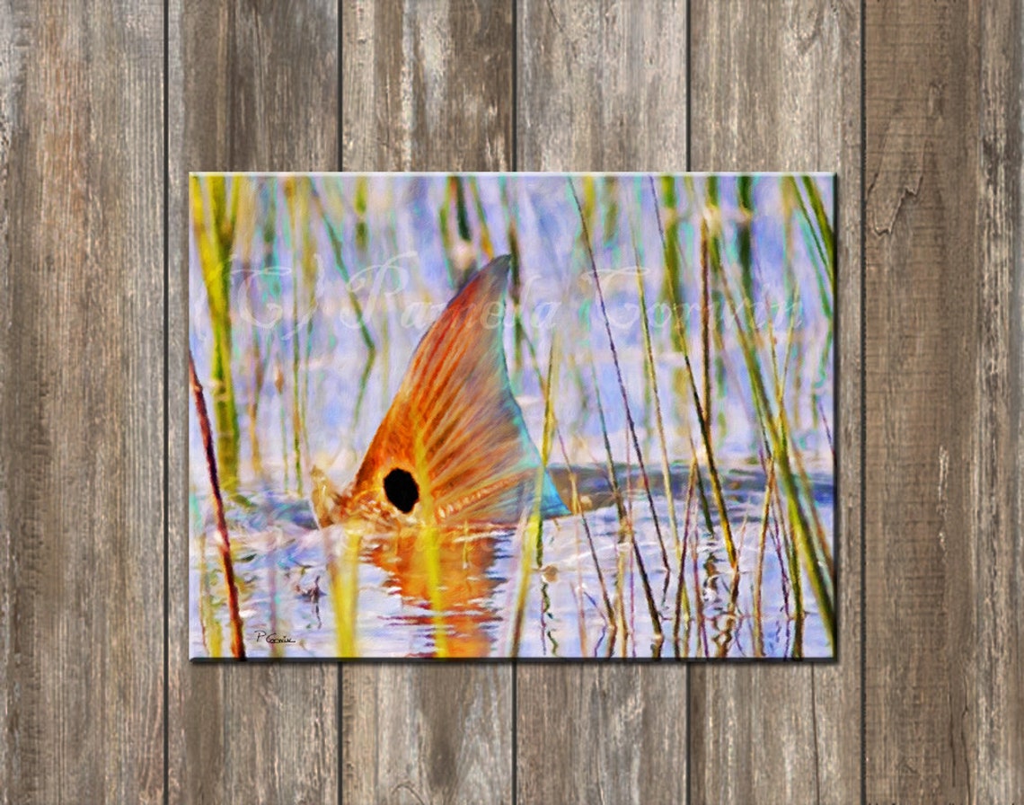 Redfish Tailing on the Flats: Redfish Tailing Art Redfish - Etsy