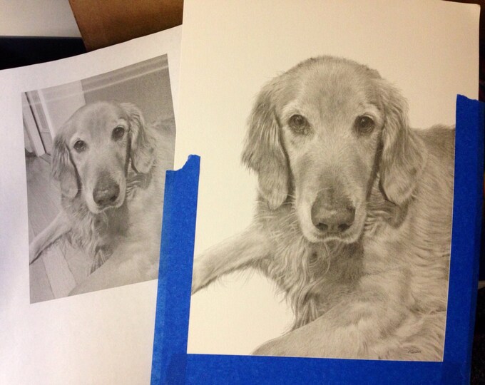 Custom 8x10 Graphite Drawing of Your Pet or Animal: Pet - Etsy