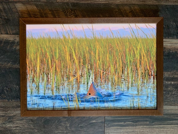 Tailing Redfish Art