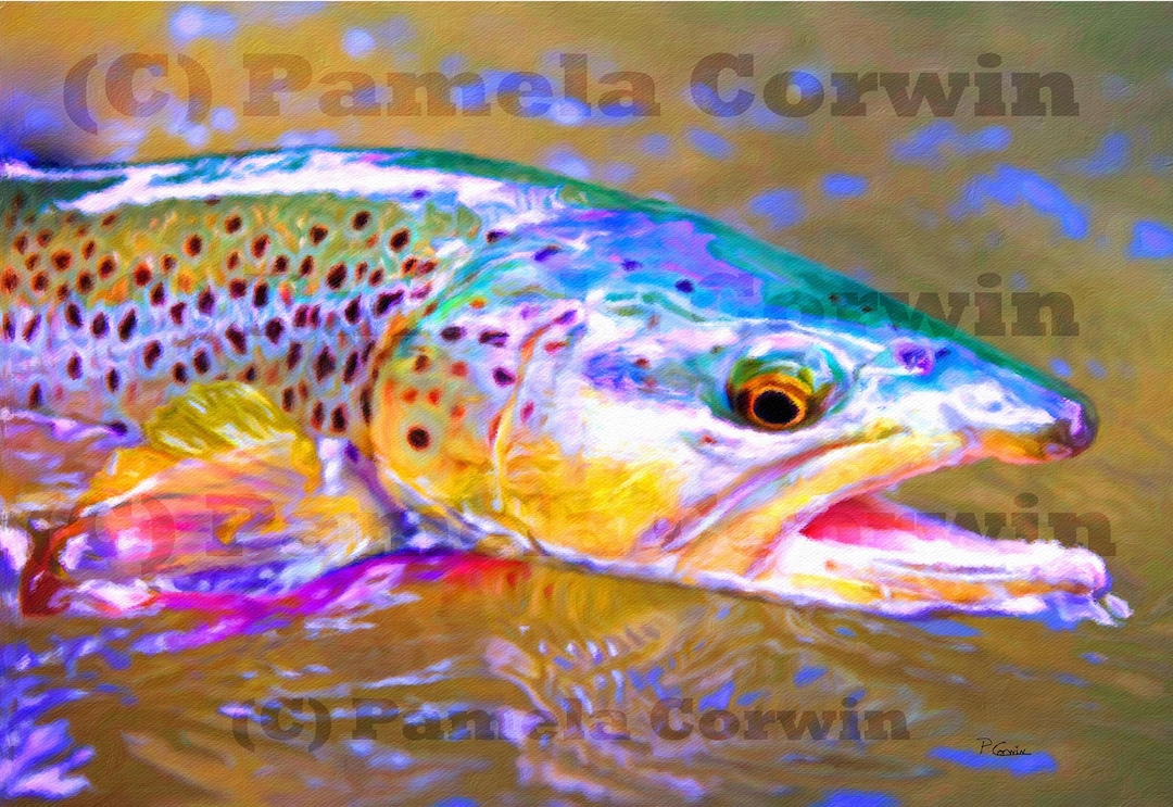 Brown Trout Painting: Trout Print on Canvas, Fly Fishing Art, Fly ...