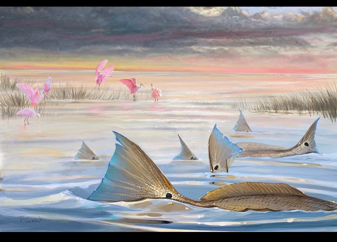 Redfish Tailing, Red Drum Painting, Redfish Painting, Spoonbill Painting, Spoonbill Art, Roseate ...