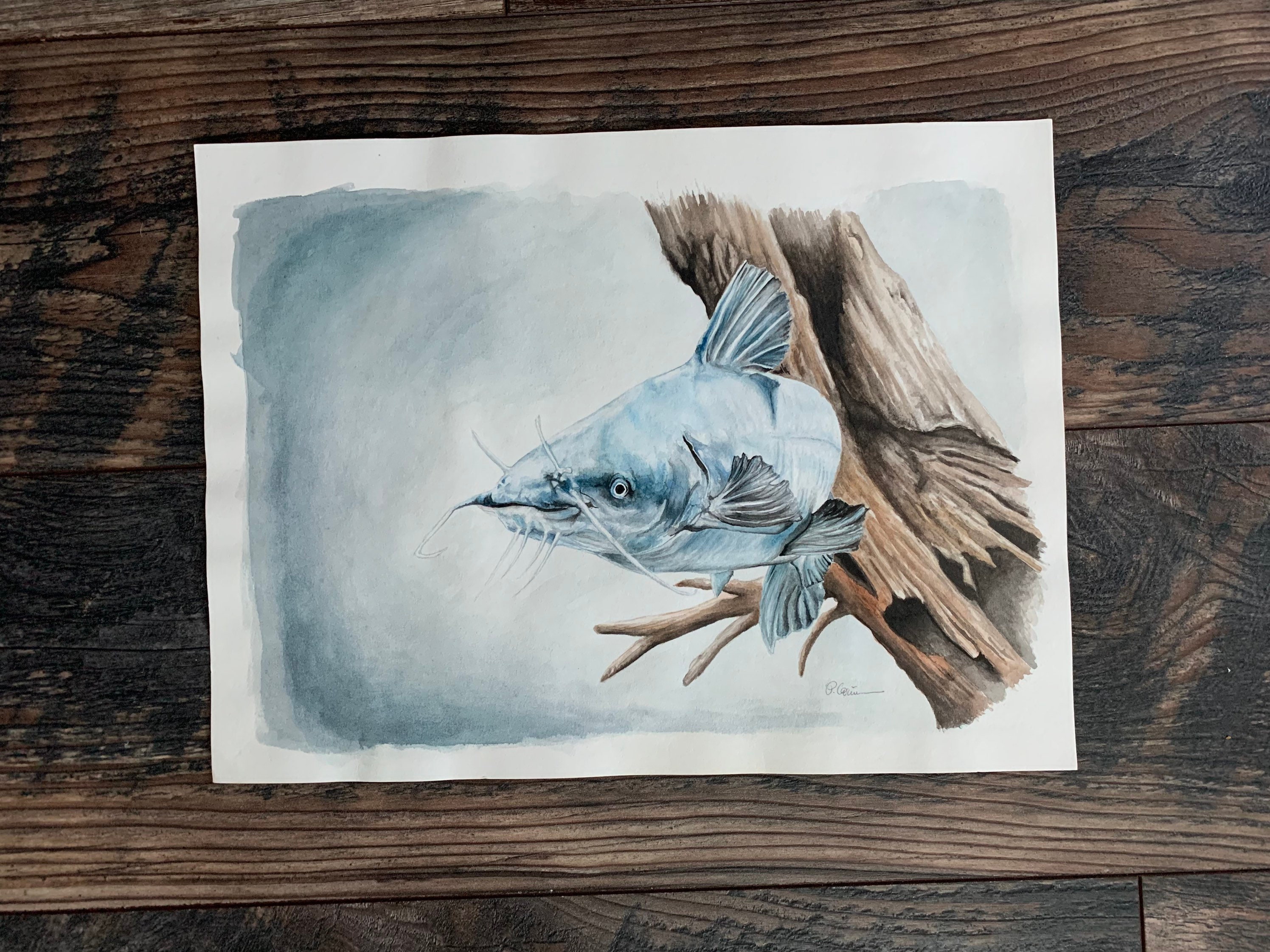 Channel Catfish Painting