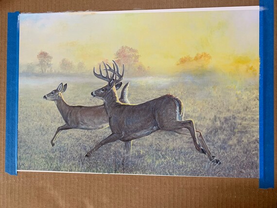 Whitetail Deer Hunting Paintings