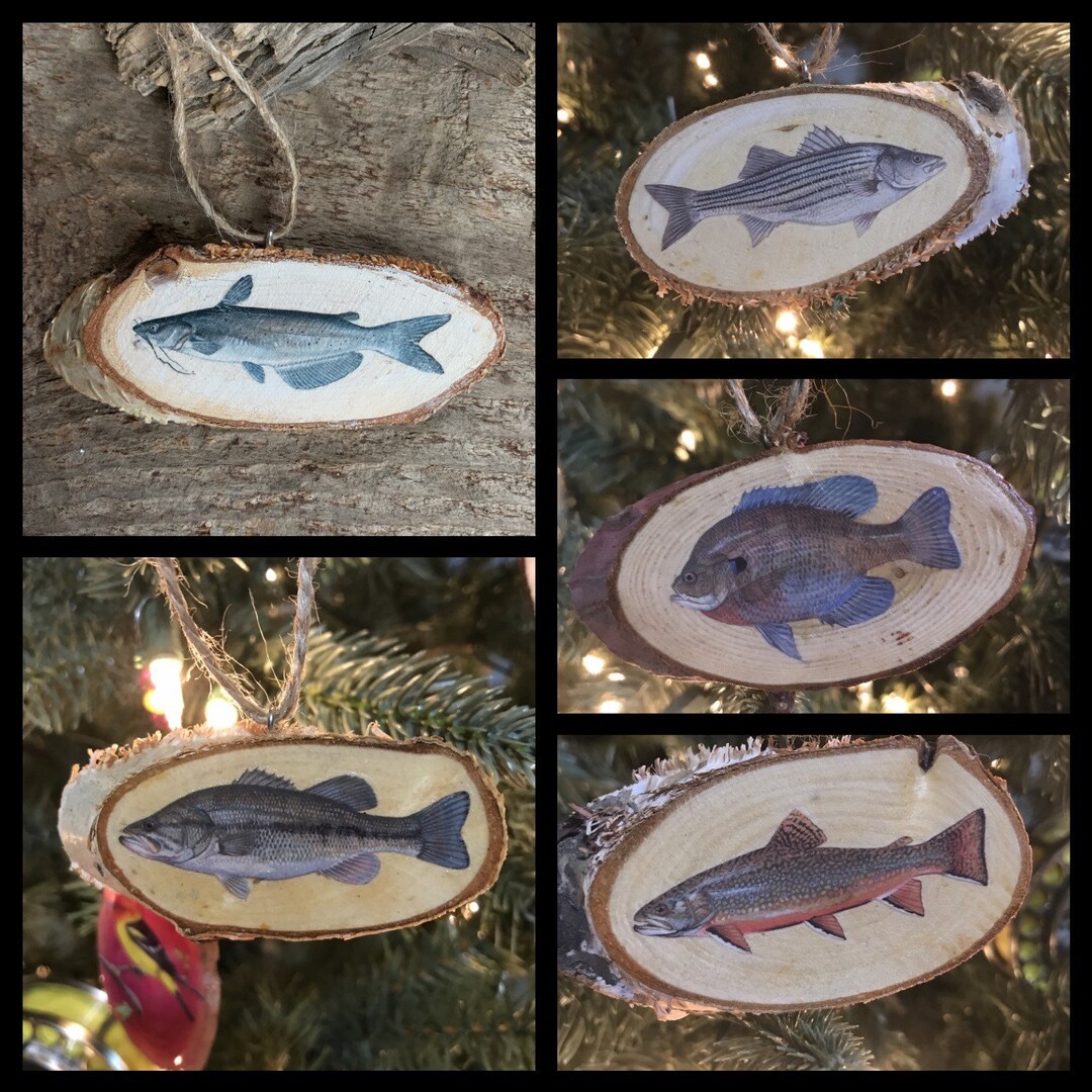 Fish Christmas Ornament: Largemouth Bass, Bluegill, Channel Catfish ...
