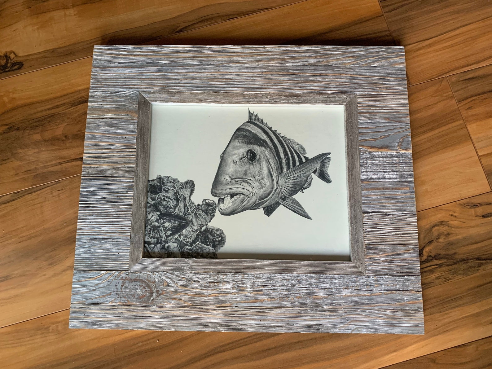 Sheepshead Drawing Framed Sheepshead Art Coastal Art | Etsy