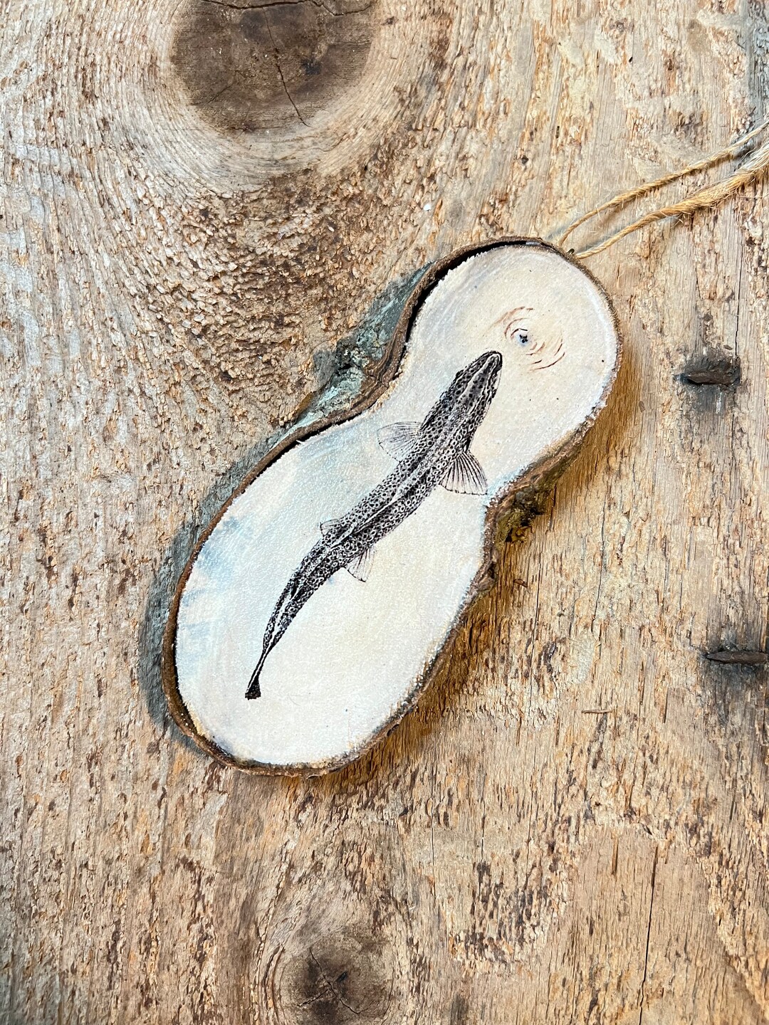 Brown Trout Ornament, Trout Ornament, Brown Trout Rising, Brown Trout ...