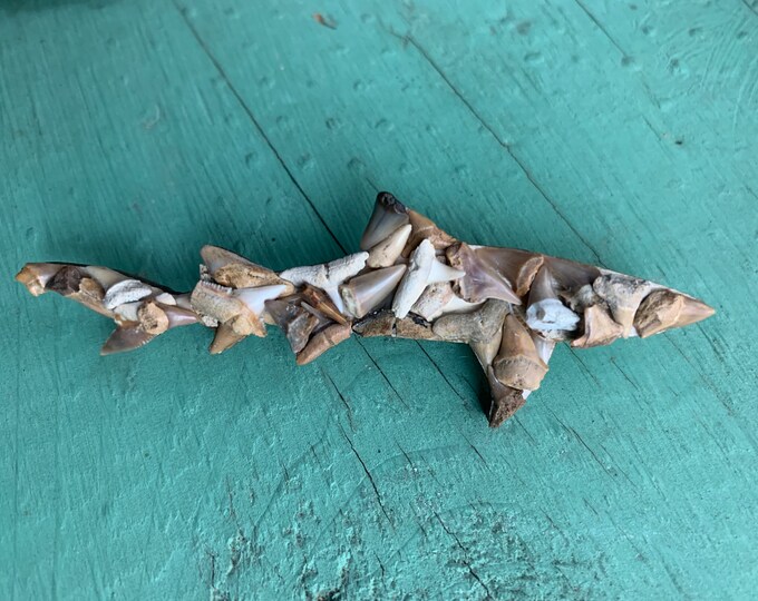 Shark Pin, Fossilized Shark Teeth, Shark Brooch, Shark Teeth Art, Shark ...
