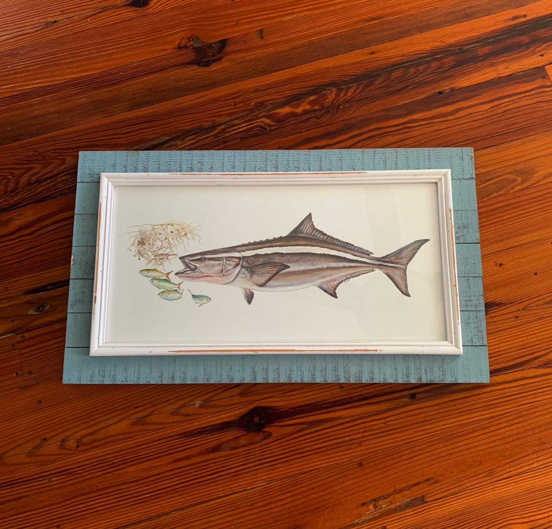 Cobia Watercolor, Cobia Painting, Cobia Fishing, Cobia Art, Original ...