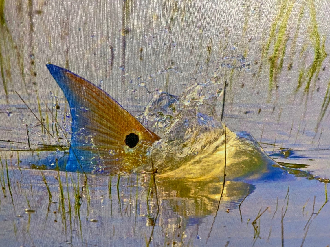 Redfish tailing sign redfish decor wooden redfish farmhouse | Etsy