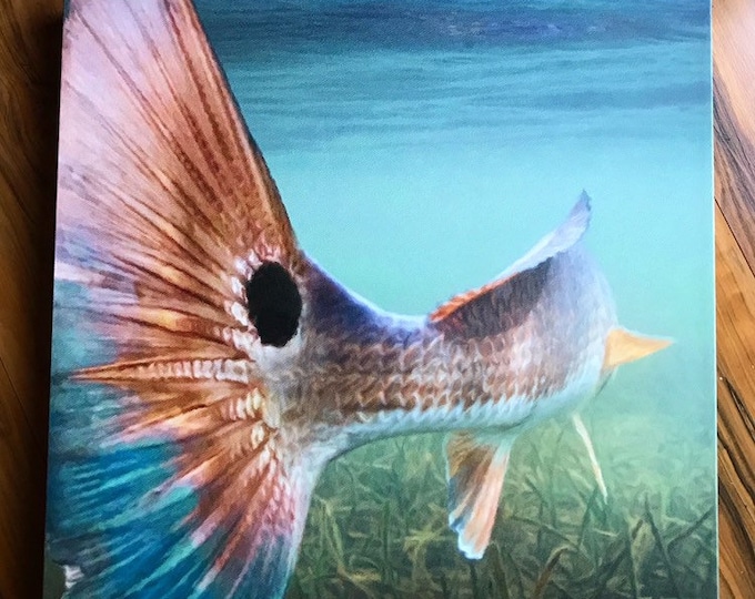 Bull Redfish Painting: Redfish Art on Canvas, Red Drum, Redfish ...