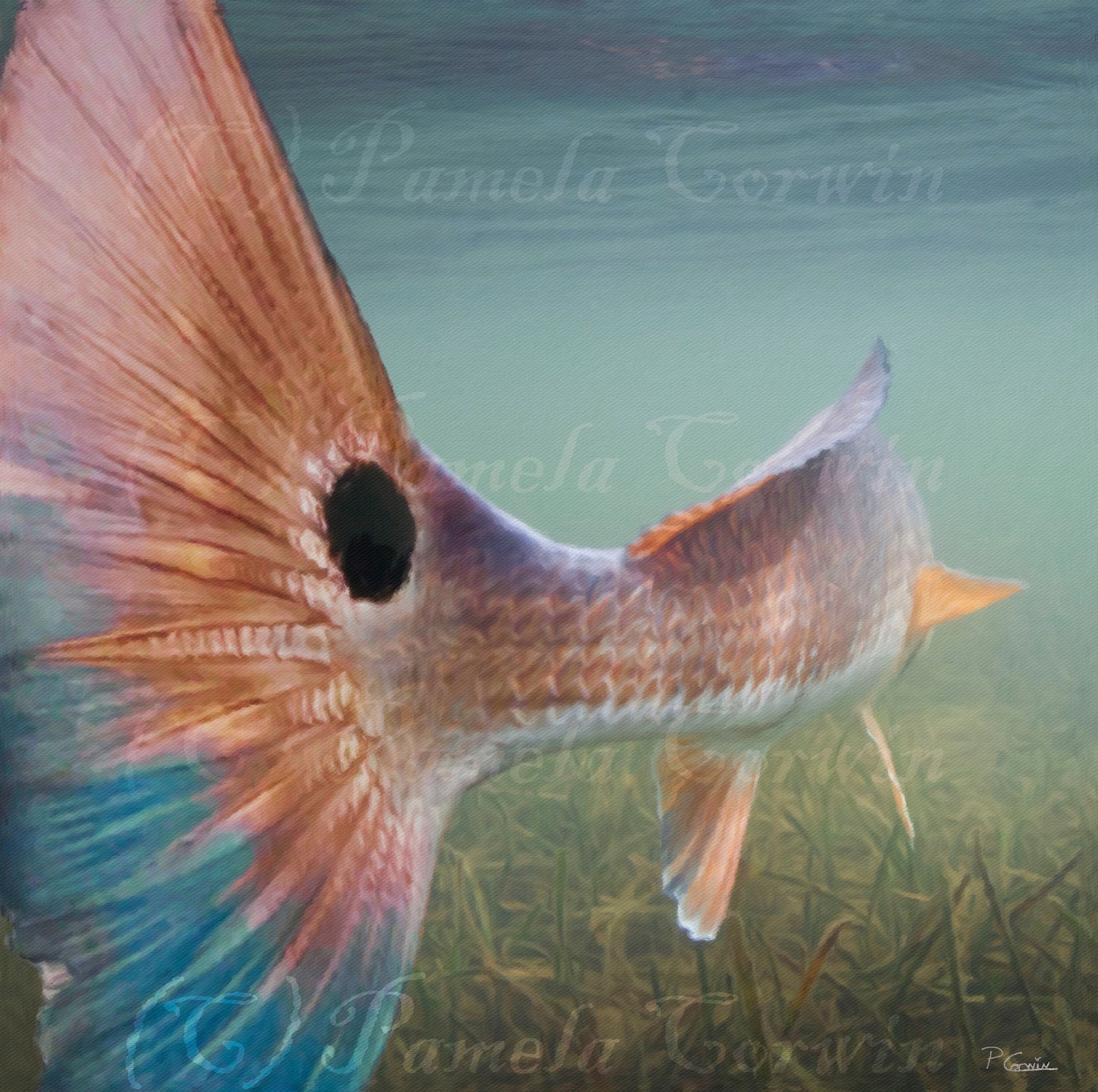 Bull Redfish Painting: Redfish Art on Canvas, Red Drum, Redfish ...
