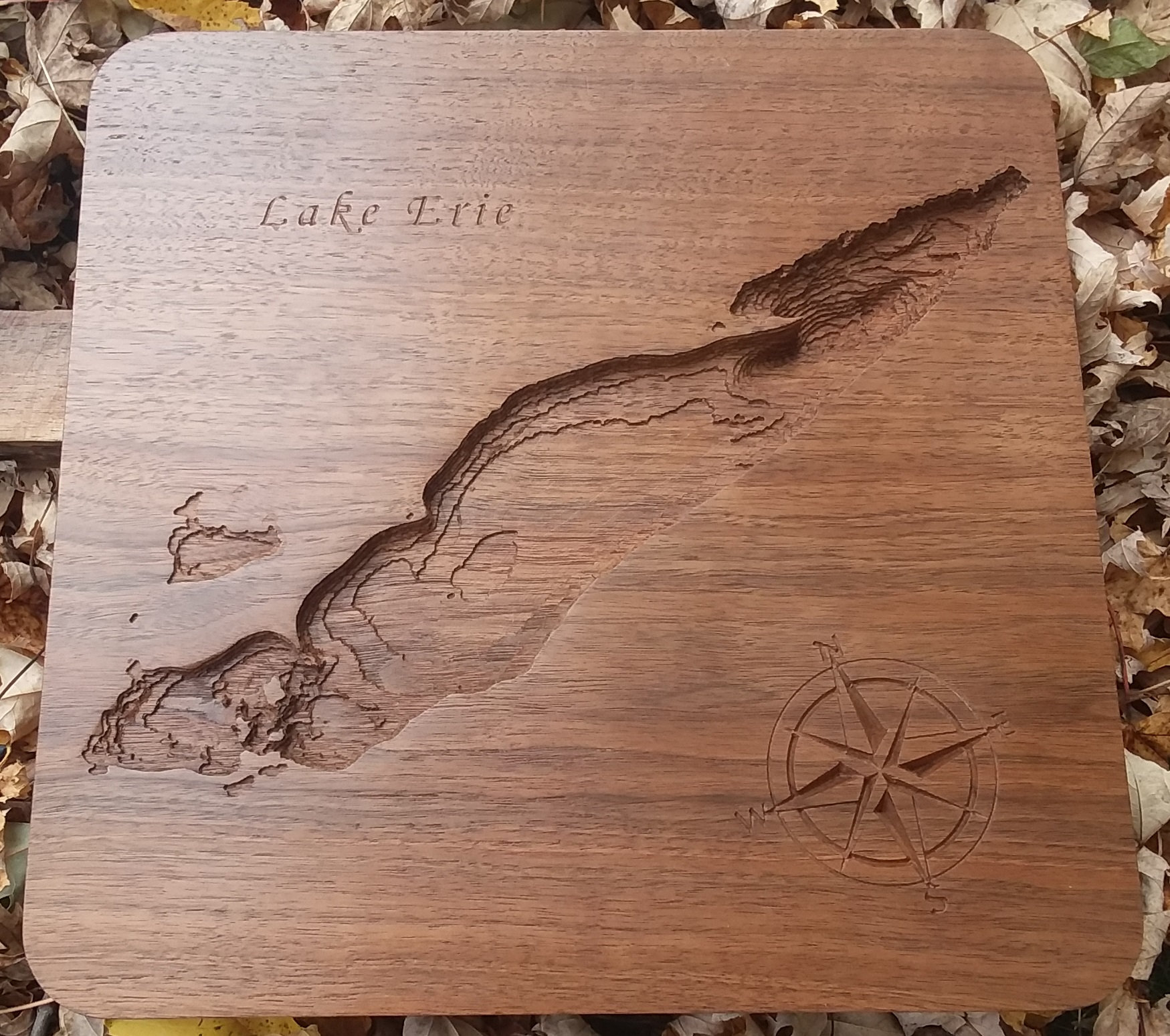 Great Lakes Bathymetric Models - Etsy
