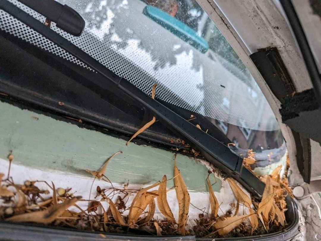 Car Foliage Protection Universal Car Cover, Windscreen, Windscreen, the ...