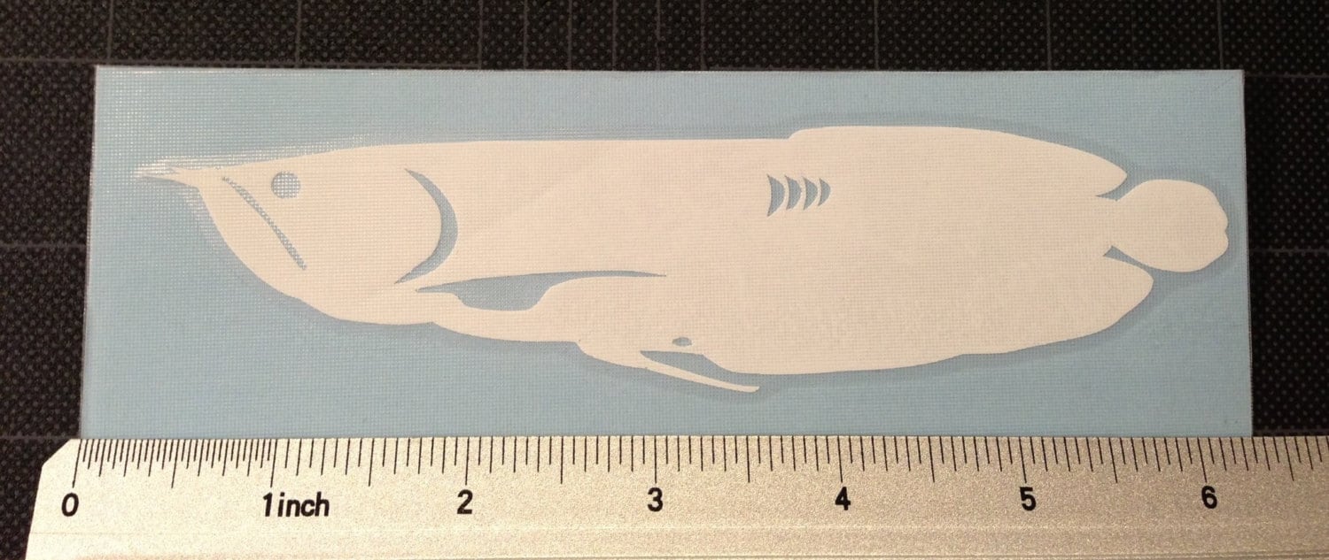 Arowana Fish Silver Vinyl Decal Sticker Aquarium - Etsy