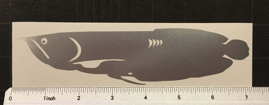 Arowana Fish Silver Vinyl Decal Sticker Aquarium - Etsy