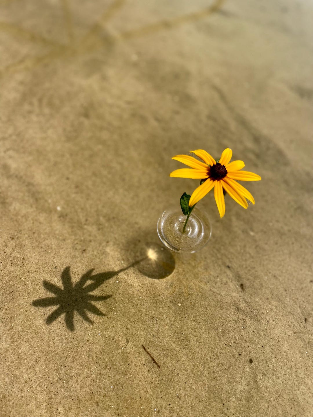 Floating Vase - Etsy