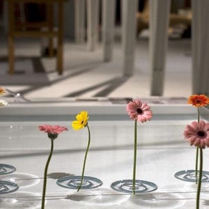 Floating Flower Vase - Etsy