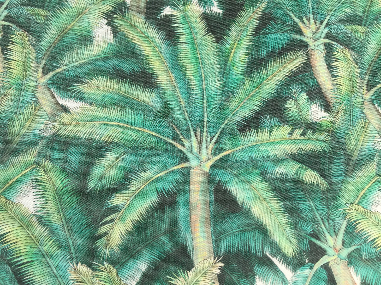 PALMS Palm Fronds Leaf Tree Fabric Tropical Leaves Material - Etsy UK