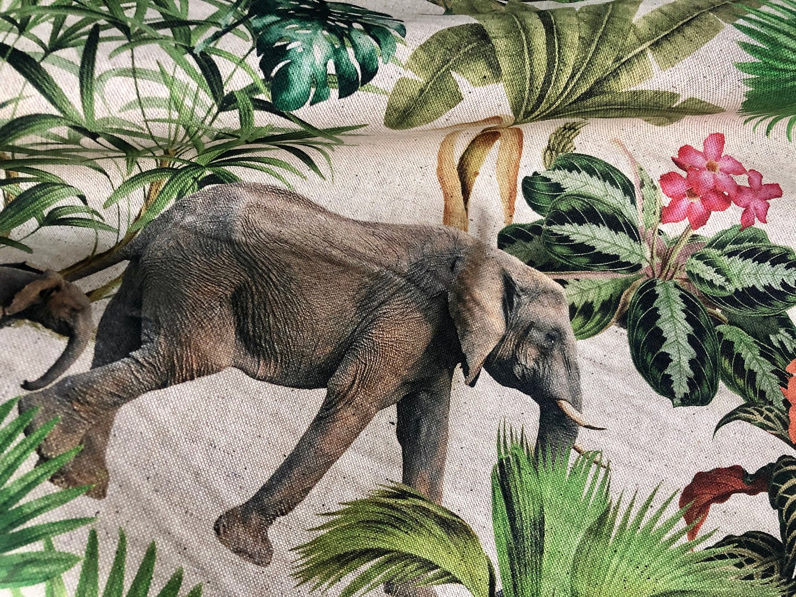Safari Zoo African Animal Digital Print Fabric Tropical Jungle | Etsy