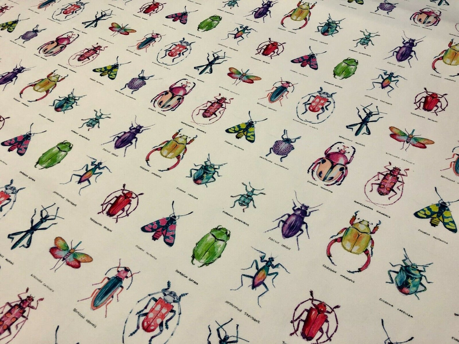 Ivory Bugs & Insects Fabric for Curtains Upholstery Dressmaking - Bee ...