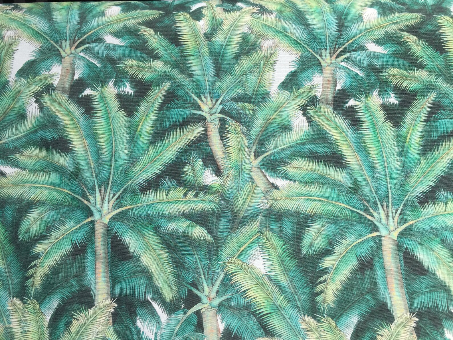 PALMS Palm Fronds Leaf Tree Fabric Tropical Leaves Material - Etsy