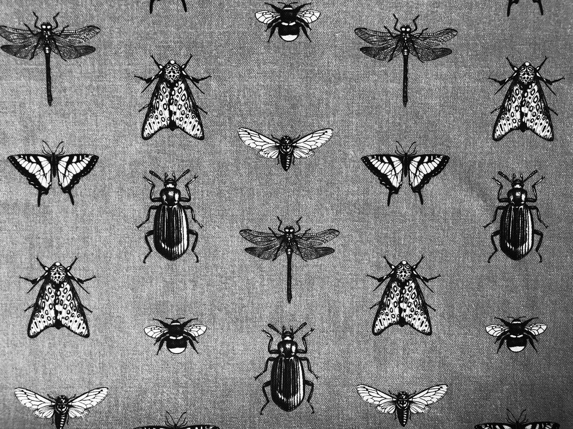 Grey Bugs & Insects Fabric for Curtains Upholstery Dressmaking - Etsy