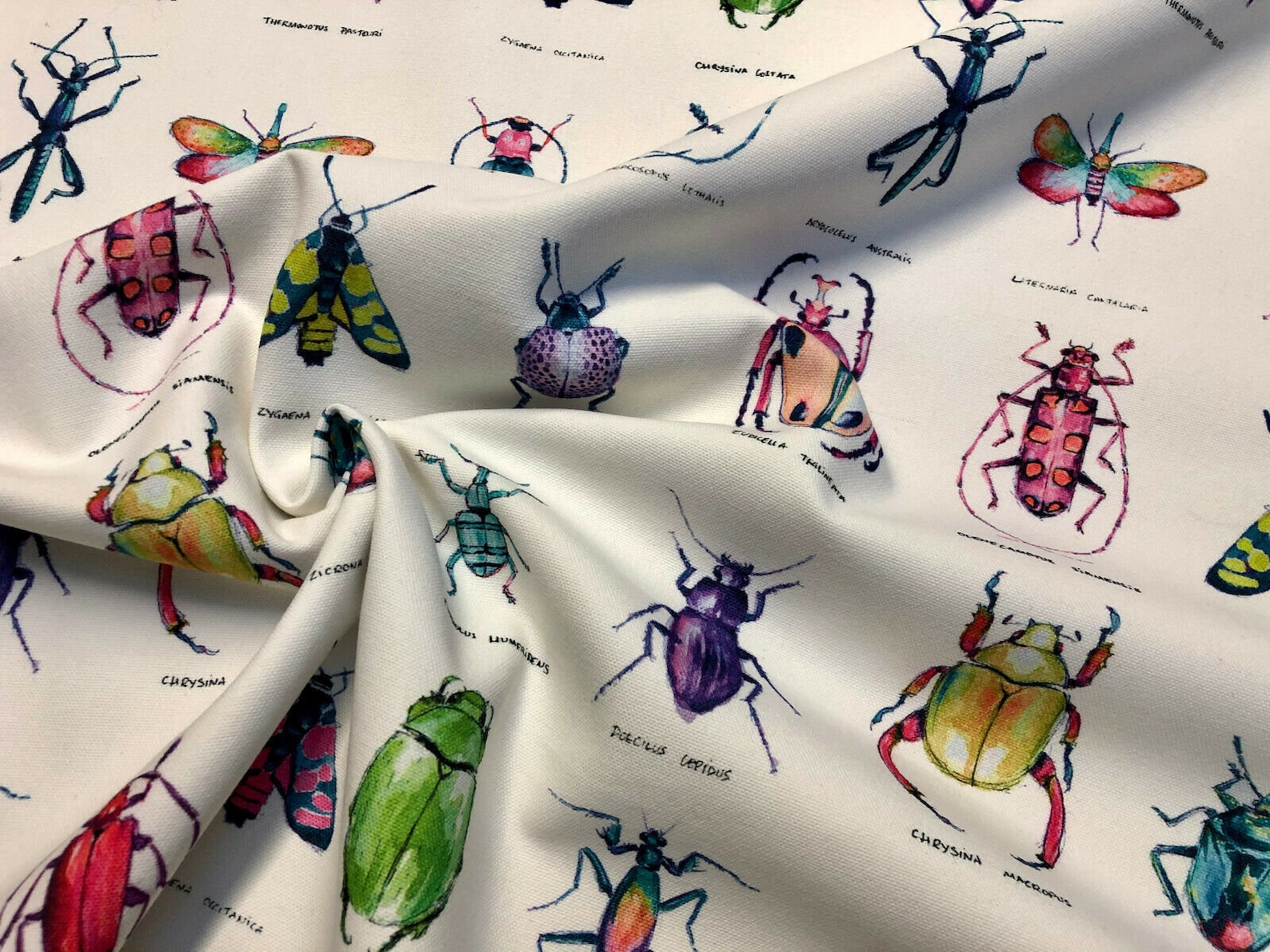 Ivory Bugs & Insects Fabric for Curtains Upholstery | Etsy