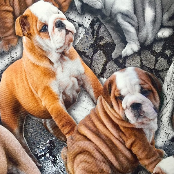 Spandex Dog Costume - Etsy