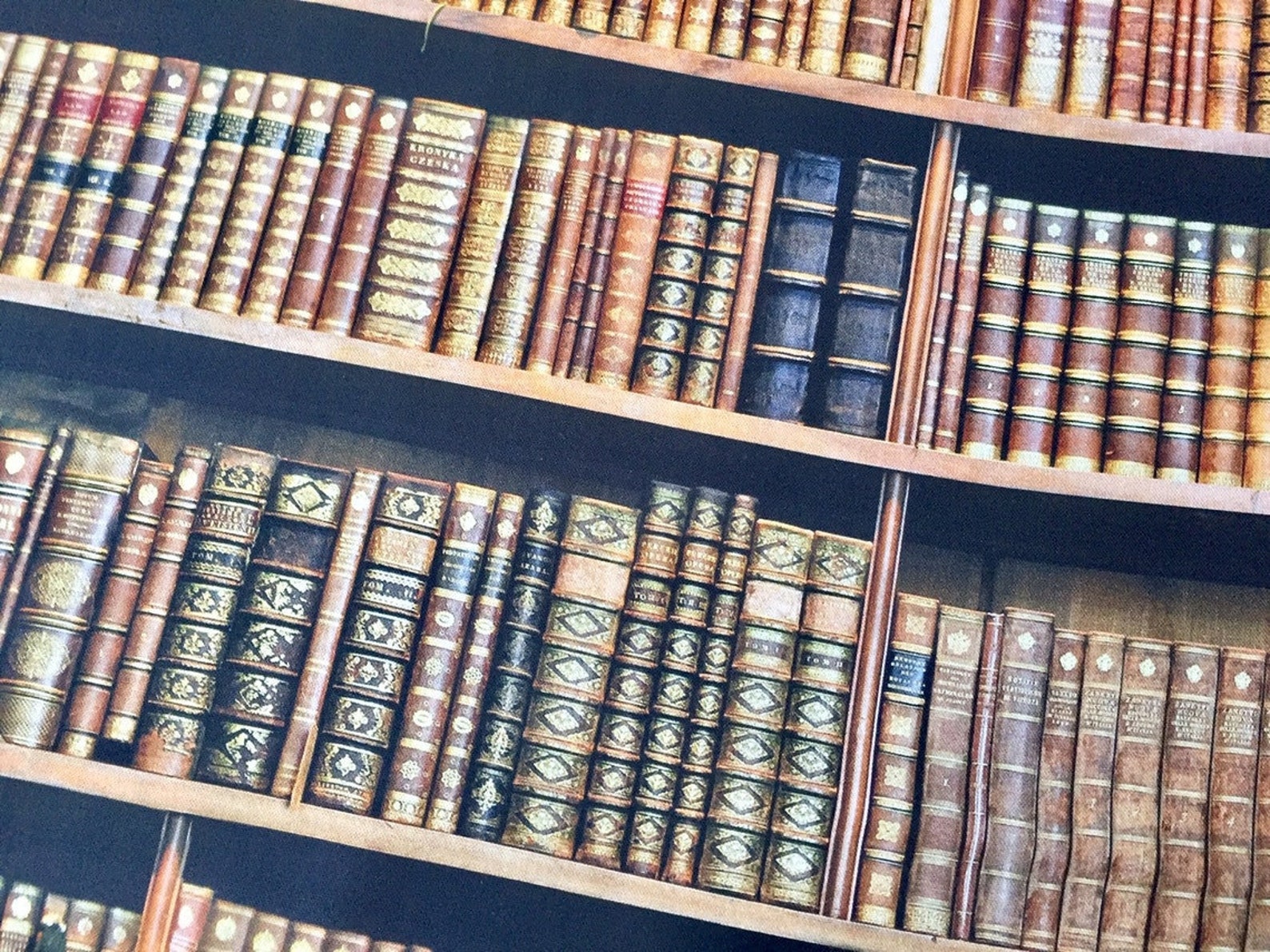 BOOKSHELF BOOK Fabric Curtain Upholstery Cotton Material / - Etsy