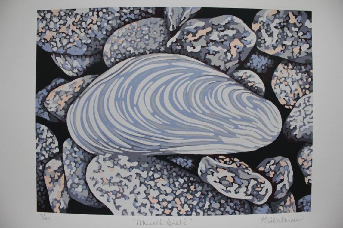 7" X 9.5" Limited Edition Mussel Shell Screenprint in 8 Colours - Etsy