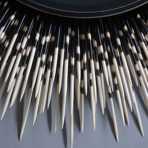 Porcupine Quill Mirror, 33 In., Ivory-tip, Rubbed Black Frame - Etsy