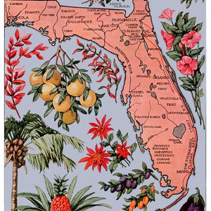 Reprint of a Vintage Travel Poster to Florida - Agriculture Regions - Etsy