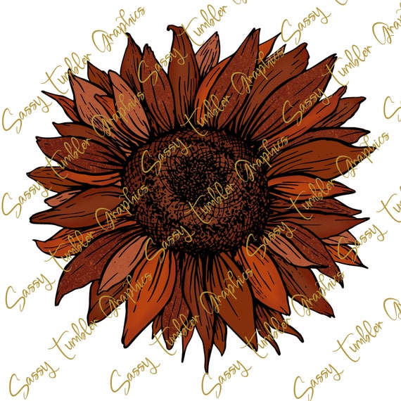 Rust Colored Sunflower PNG Waterslide Digital Graphics - Etsy