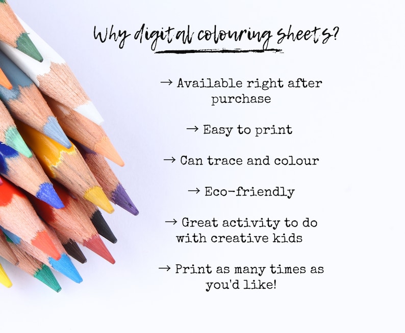 BUNDLE Printable Colouring Sheet for Adult and Kids PNG - Etsy