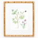 January Birth Month Botanical Watercolor Art Print; Floral Art Print ...