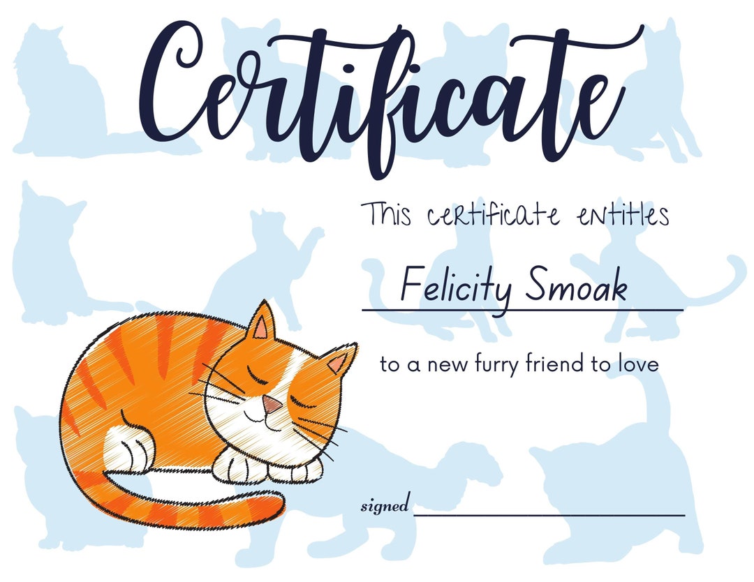 DIGITAL*** Custom Gift Certificate for Cat, Giving a Furry Friend Cat ...