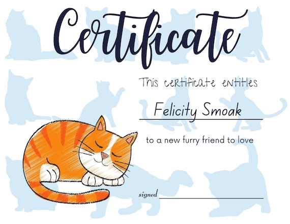 DIGITAL Custom Gift Certificate for Cat Giving a Furry | Etsy